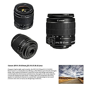 Canon EOS Rebel T7 DSLR Camera with 18-55mm is II Lens + Canon EF 75-300mm III and 420-800mm Preset Zoom Lens + 128GB Memory + Filters + Editing Software + Spider Flex Tripod + Professional Bundle