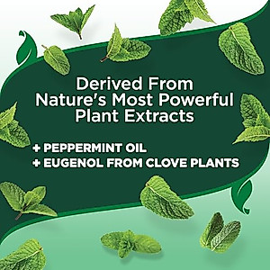 Vet's Best Flea and Tick Home Spray | Flea Treatment for Dogs and Home | Flea Killer with Certified Natural Oils | 96 Ounces Refill