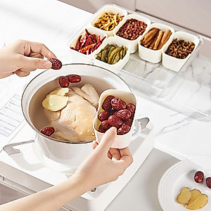 ACQTULOU Divided Serving Tray with Lid and Handle, Removable Divided Platter Food Storage Containers with 8 Compartment, Small Boxes for Onion, Ginger, Garlic, Cherry