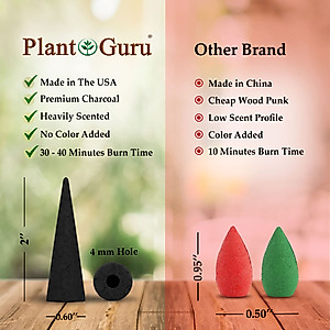 Japanese Cherry Blossom Charcoal Incense Cones 2" BACKFLOW - 60 Pack - Natural Scented Cones Handmade Hand Dipped