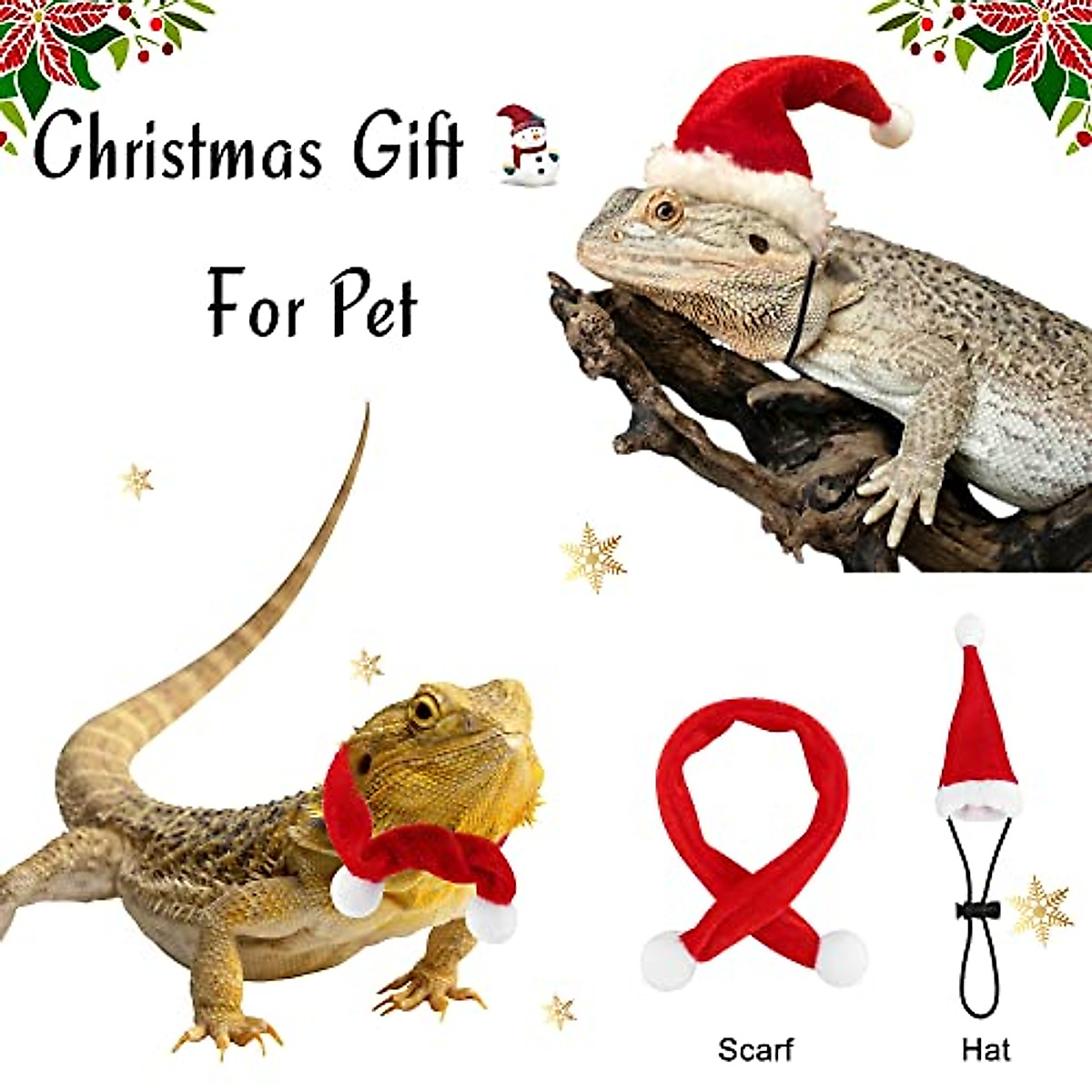 Filhome Christmas Bearded Dragon Harness and Leash with Wings Hat Scarf, 8 Pcs Lizard Harness Iguana Reptile Leash Set Adjustable Elastic Chin Strap Xmas Clothing (Green)