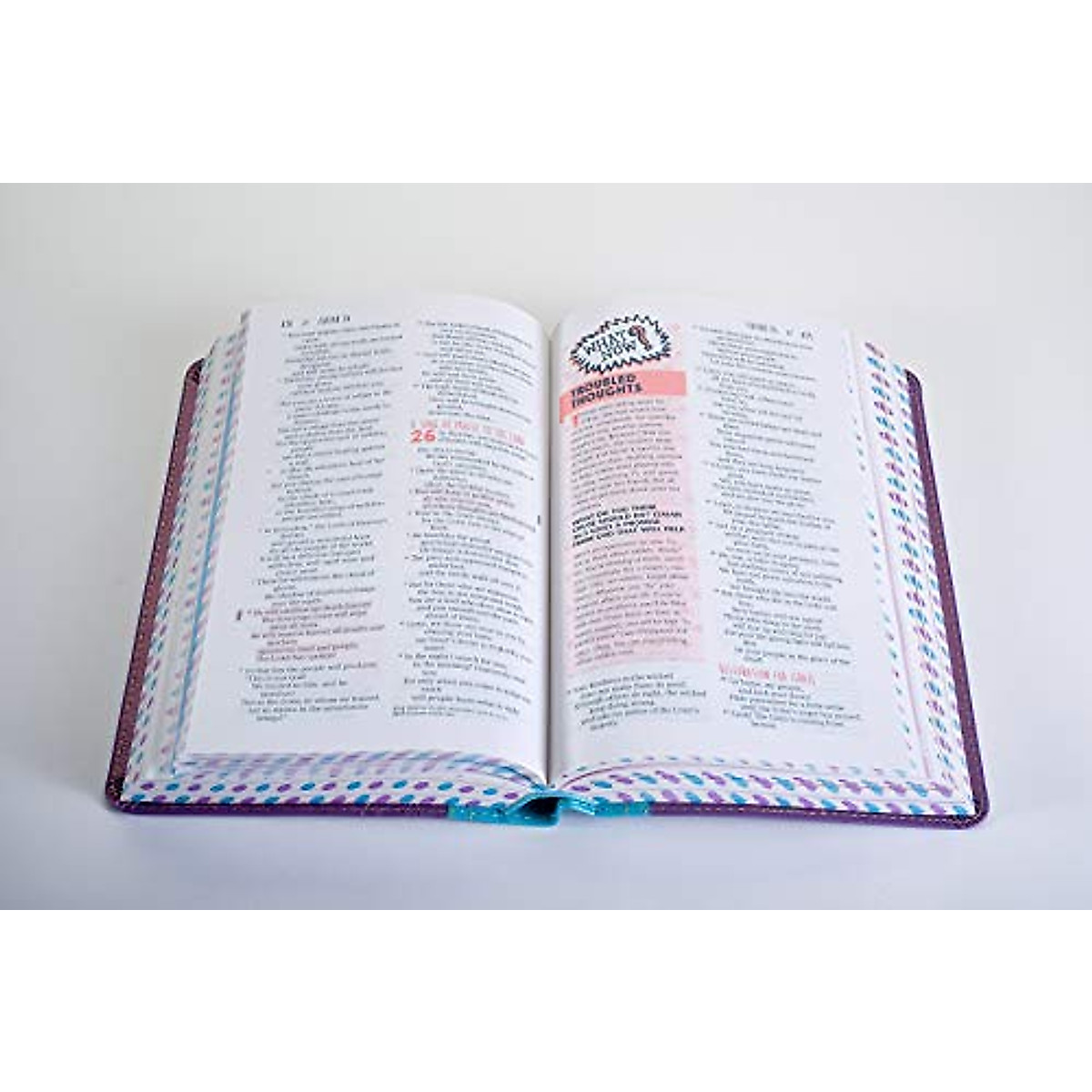 Tyndale NLT Girls Life Application Study Bible, TuTone (LeatherLike, Purple/Teal), NLT Bible with Over 800 Notes and Features, Foundations for Your Faith Sections