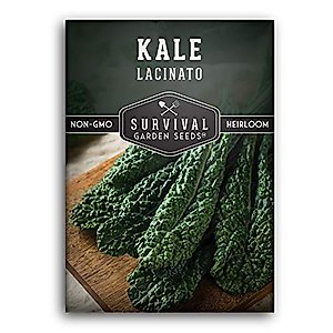 Survival Garden Seeds - Lacinato Kale Seed for Planting - Packet with Instructions to Plant and Grow in Your Home Vegetable Garden - Non-GMO Heirloom Variety