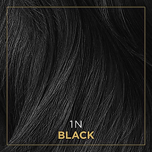 Clairol Professional Permanent Crème Hair Color 1n Black
