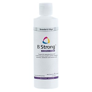 Revival Animal Health Breeder's Edge - B Strong - B Vitamin, Iron and Mineral Supplement - Vitamin B for Dogs, Cats, Puppies & Kittens - 8 oz Liquid