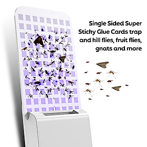 Sticky Card Refill Replacement Glue Cards for Flying Insect Trap Indoor-12pack