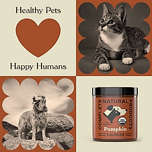Complete Natural Products Organic Pumpkin Powder for Pets - 4oz - Pure Organic Pumpkin Powder