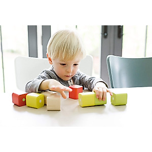 Tegu 6 Piece Magnetic Baby’s First Building Blocks, Tints