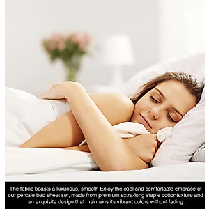 Egyptian Cotton Queen Sheets Deep Pocket 100% Egyptian Cotton Sheets 800 Thread Count Bed Sheet 4 Piece - Extra Long-staple Cotton Sheets and Breathable & Sateen Weave Bed Sheet (White)