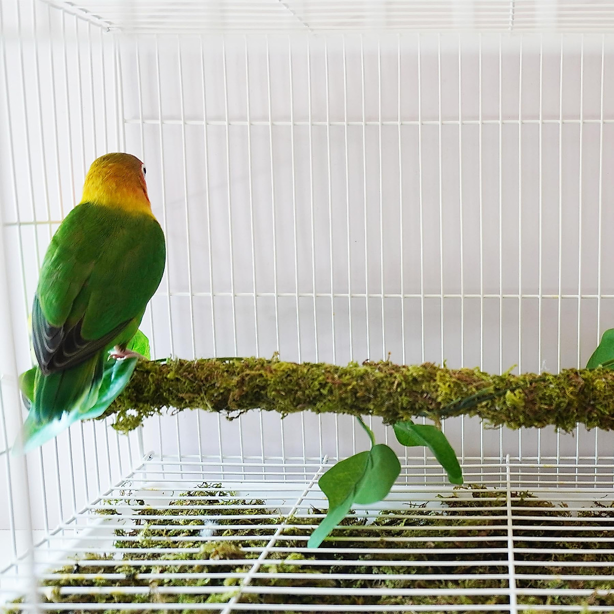 Begeterday 25 Inch Bendable Bird Perches, Bird Toys, Ideal Bird Cage Accessories