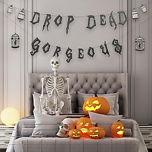 Cheerland Glitter Black Drop Dead Gorgeous Halloween Crow Cage Theme Banner for Gothic Halloween Hanging Decorations Raven Bird and Cage Garland for Horror Birthday Bridal Shower Party Supplies