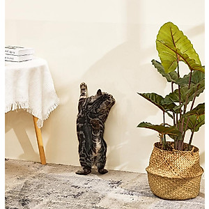 Clear Contact Paper Roll 17.7'' x 118'' Clear Glossy Self-Adhesive Film Cover Removable Protective Film Transparent Waterproof Liners Drawers Shelves Kitchen Cabinets Desks Fridge Roll