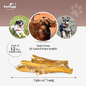 PetYupp Water Buffalo Paddywack Dog Chews – 12 Pack – All-Natural, High-Protein, Low-Fat & Easy-to-Digest Dog Treats – for Small to Large Dogs and Teething Puppies - Rawhide-Free & No Additives