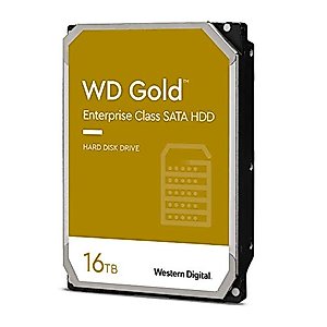 Western Digital WD Gold 16 To (WD161KRYZ)
