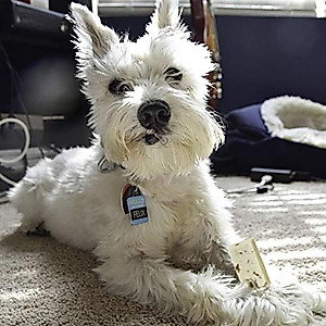 Himalayan Dog Chew Yak Cheese Dog Chews, 100% Natural, Long Lasting, Gluten Free, Healthy & Safe Dog Treats, Lactose & Grain Free, Protein Rich, Small Dogs 15 Lbs & Smaller, Real Bacon Bits, 3.3 oz