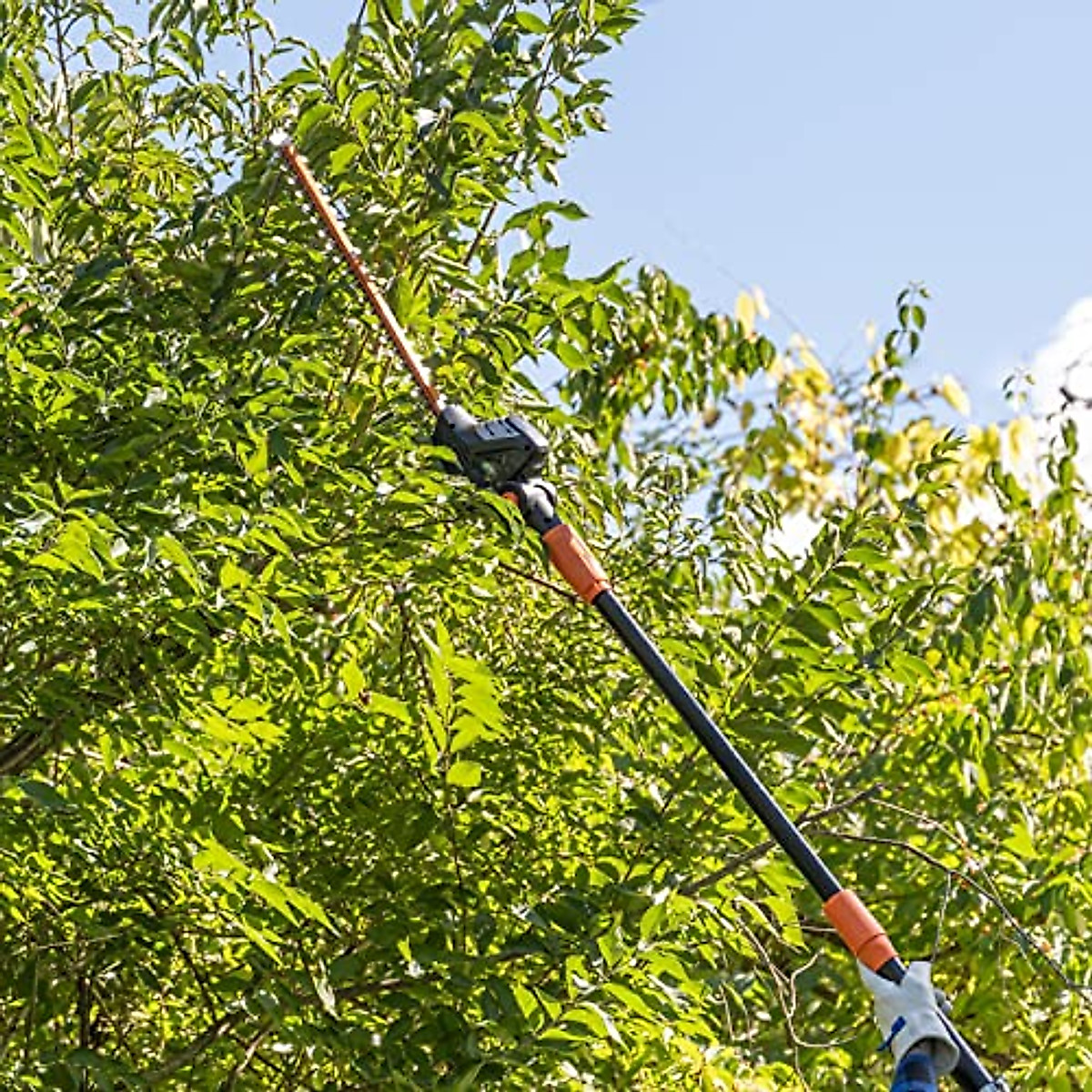 Scotts LPHT12122S 20-Volt 22-Inch Cordless Pole Hedge Trimmer, 2.0Ah Battery and Fast Charger Included