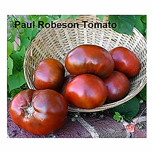 Mixed Seeds! 30+ Black Tomato Seeds, Mix of 9 Varieties, Heirloom Non-GMO, Black Prince, Cherokee Purple, Black Cherry, from USA
