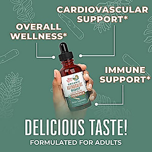 USDA Organic Astragalus Root Liquid Drops & USDA Organic Adults Adrenal & Focus Support Bundle by MaryRuth's | Immune Support, Focus, and Cardiovascular Support | Ginkgo Biloba | Brain & Memory Drops