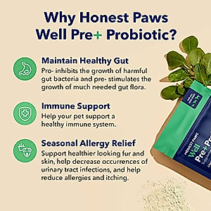 Honest Paws Probiotics for Dogs Made in USA - Dog Probiotic Powder with Prebiotic for Healthy Gut, Digestive and Immune Support - Digestive Enzymes with Chicken Flavor (30 Sticks)