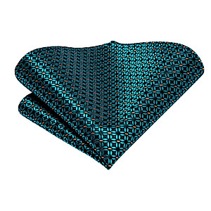 Dubulle Mens Paisely Floral Silk Tie for Men Striped Necktie and Pocket Square Set Wedding Business,Teal Green