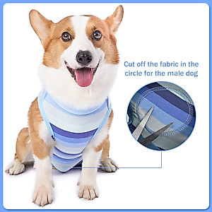 Ambreview Cats Recovery Suit, Kitten Recovery Onesie Female Cats Abdominal Wounds Bandages Cone E-Collar Alternative After Surgery, Cat Spay Bodysuit for Female Cats and Dog