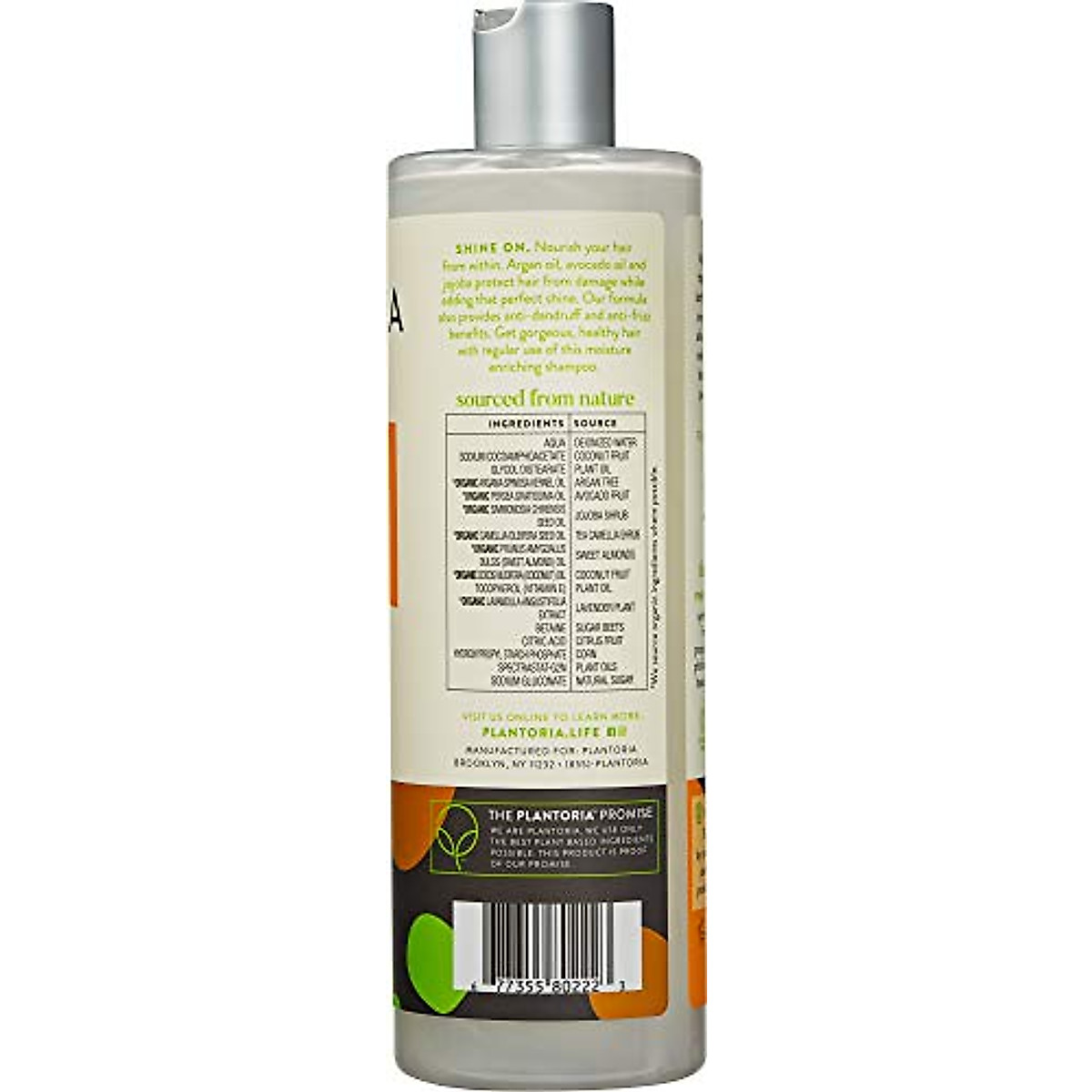 Plantoria Moroccan Argan Oil Shampoo | Plant Based Pure Vegan Organic Anti Dandruff & Frizz Hair Products for Women, Men, Teens, Kids | Natural Hair Shampoo With Coconut, Argan, Jojoba, Vitamin E