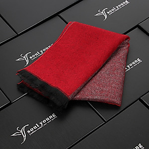 sy soul young Long Cotton Scarf for Men - Warm Fringe Plaid Scarves With Luxurious Gift Box(Burgendy)