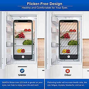 SANSI LED Refrigerator Light Bulb 45W Equivalent, 4W Appliance Bulb 450 Lumens 5000K Daylight Fridge Light Bulb, A11 Waterproof Frigidaire Replacement Light Bulbs, Non-Dimmable, Energy Saving, 2-Pack