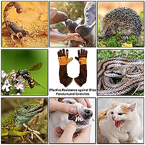 Animal Handling Gloves,Cat Bite Proof Gloves,Leather Welding Gloves For Men And Women,Multipurpose Dog Bite Gloves,Snake & Bird Handling Gloves For Cat Dog Bird Falcon Livestock Snake
