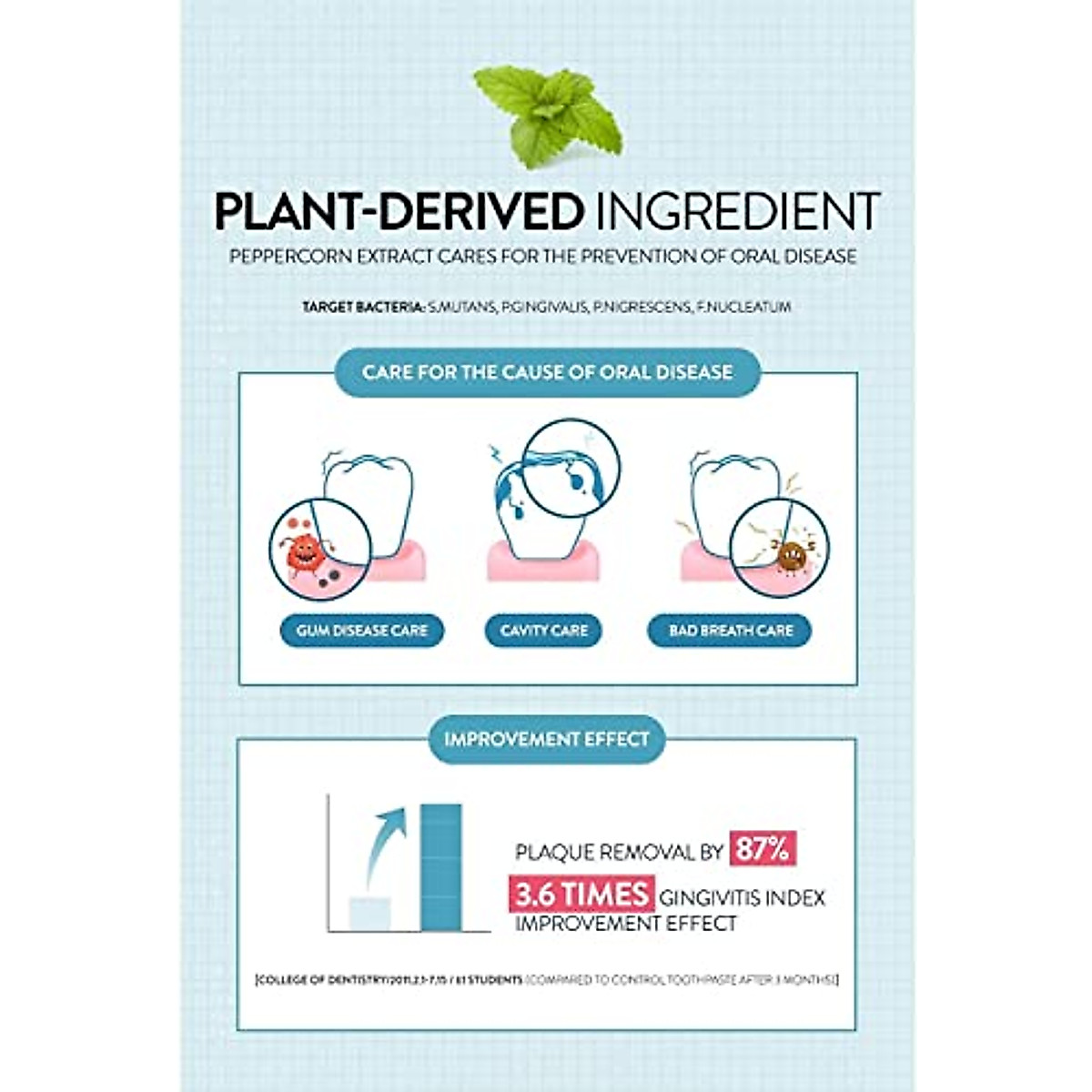 PERIOE Flouride-Free Himalayan Pink Salt Toothpaste, 3.4 oz - Ice Mint w/Aloe Vera | Vegan, Cruelty-Free, Paraben-Free Plaque & Tartar Remover Oral Care Travel Size Toothpaste