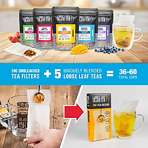 Tiesta Tea - Loose Leaf Kit | Premium Starter Kit Sampler | High to Non Caffeinated | Make Hot & Iced Brews | Starter Set with Black, Green, Herbal Sample Bags and 100 Disposable Tea Filters