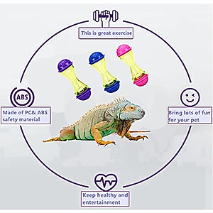 PUMEXFE 3 PCS Reptile Enrichment Toy Ball Bearded Dragon Toys Reptile Tank Decor Reptile Feed Toys for Lizard, Bearded Dragon, Gecko, Small Animals (Blue)