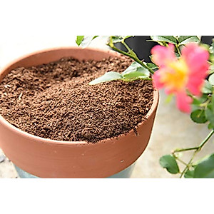 Organic Sphagnum Peat Moss by Perfect Plants - Absorbs Essential Nutrients When Added to Soil and Enriches Plant Roots - Indoor and Outdoor Use (8qts.)