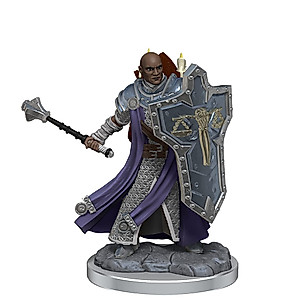 D&D Frameworks: Human Cleric Male - Unpainted and Unassembled