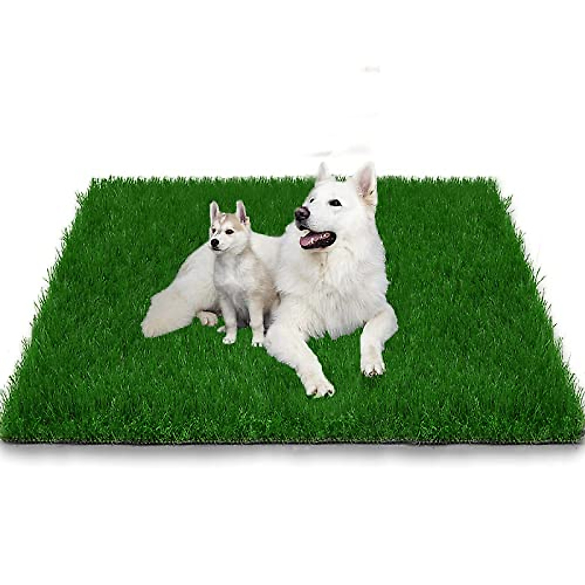 Grass Pad for Dogs Strong Absorbency Soft and Real Grass for Pets Potty Training, Easy to Clean Fake Grass for Dog Indoor Outdoor Use(39.3 x 31.5 inches,1 Pack)