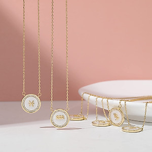 Gold Zodiac Sign Pendant Necklace, 14K Gold Plated Faux Fritillaria Cubic Zirconia 12 Constellation Necklace Jewelry Birthday Gifts for Women, (Pisces Feb 19-Mar 20)