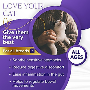 Royal Whiskers Digestive Delights - Probiotic Soft Chews for Cats, Enriched with Pumpkin & Probiotic Blend for Ultimate Gut Health Formulated Specifically for Felines, 90 Premium Chews, Made in USA