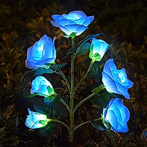 Chasgo Blue Rose Flower Lights Solar Garden Stake Lights with 7 LED Rose Lights Outdoor Waterproof Solar Decorative Lights for Garden Yard Lawn Memorial Cemetery Decoration