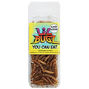 BicBugs Super Worms Lil Bugz Edible Insects bred for Human Consumption