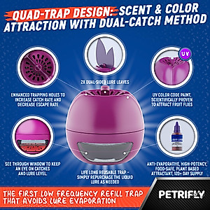 UV Fruit Fly Traps For Indoors + Sticky Traps 2pk- Fruit Fly Traps Indoor For Home - Fruit Fly Trap & Gnat Traps For House Indoor - Gnats And Fruit Fly Killer Indoor - Gnat Catcher,Gnat Trap,Nat Traps