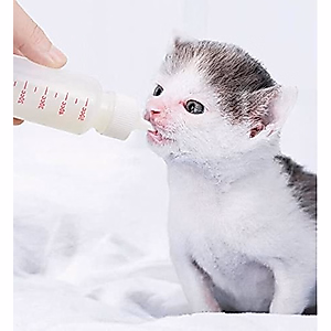 DoubleWood Pet Nursing Bottle Kits Nursing Bottle Kits Replacement Nipple Cat Feeding Bottle for Newborn Kittens, Puppies, Rabbits, Small Animals