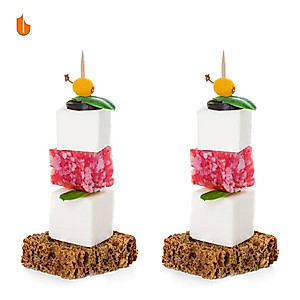 Urbanstrive Sturdy Safe Toothpick Holder with 800 Natural Wood Toothpicks for Teeth Cleaning, Unique Home Design Decoration, 2 Pack, Pink