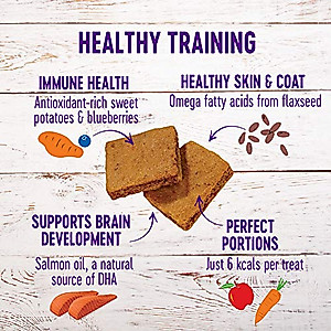 Wellness Soft Puppy Bites Natural Grain-Free Treats for Training, Dog Treats with Real Meat and DHA, No Artificial Flavors (Lamb & Salmon, 8-Ounce Bag)