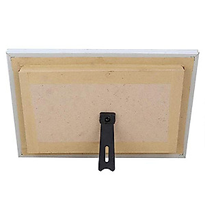 xianshi Butterflies Specimen, Home Ornament 7.7 * 11.6 * 1.6 in 5pcs Butterflies Real Butterflies Specimens Home Decor Specimen, Birthday Gift for Friends Colleagues(White Box)