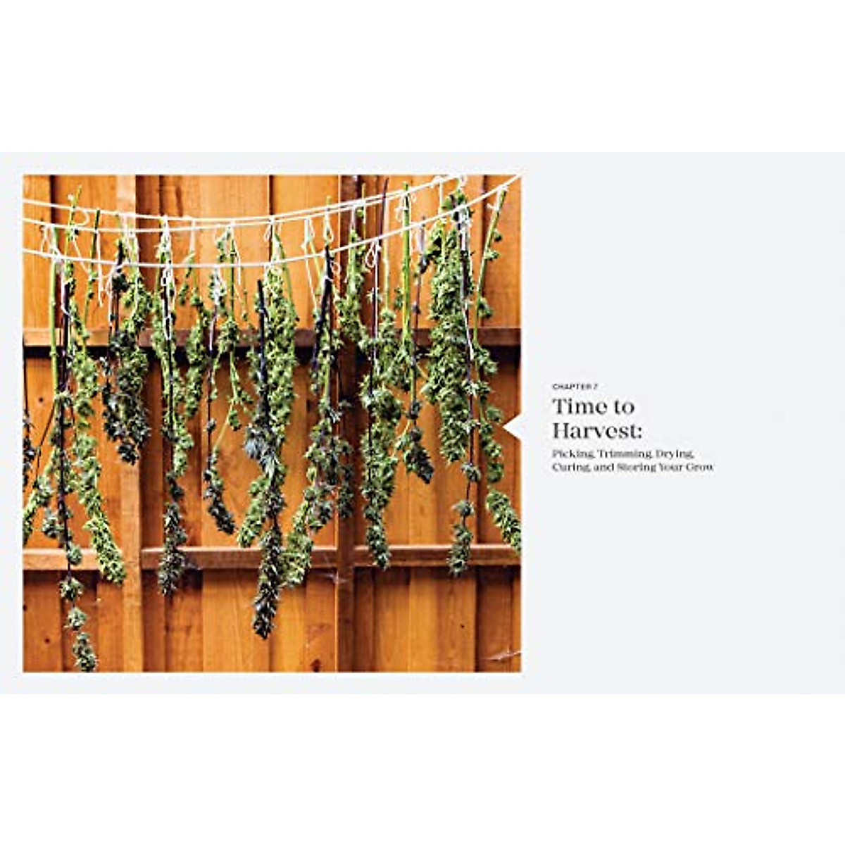 The Cannabis Gardener: A Beginner's Guide to Growing Vibrant, Healthy Plants in Every Region [A Marijuana Gardening Book]