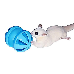 Push & Play Toy - Interactive Rolling Noisemaker Foraging Jingle Ball Cage Accessory - For Sugar Gliders, Rat, Chinchillas, Hedgehogs, Ferrets, Parrots, Guinea Pigs, Rabbits, Degus, & Other Small Pets
