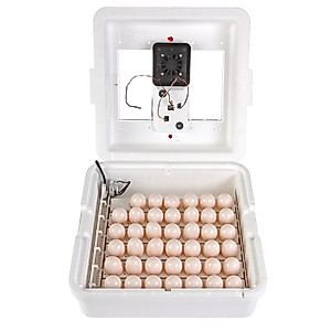 Little Giant® Digital Circulated Air Incubator | 41 Eggs | Egg Incubator with Fan, Temperature and Humidity Control | Hatching Eggs