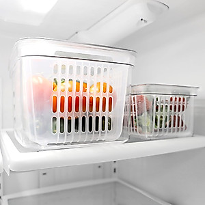 Home Basics Fruit and Vegetable Fridge Storage Container Large Produce Saver with Lid and Removable Colander