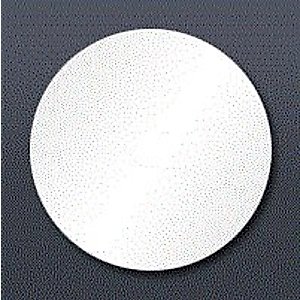RENU Disk Filter - 21 1/2" No Hole