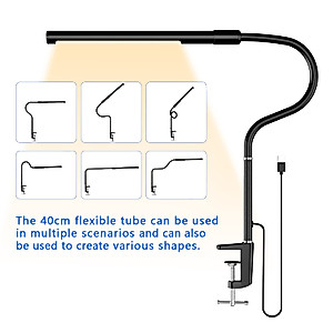 PEETPEN DL2 LED Desk Lamp with Clamp, Detachable Light Tube, 3 Color Temperature,Stepless Dimming, Auto Timer,Eye-Caring Desk Lamps for Home Office, Study, Reading, Dorms, Studios